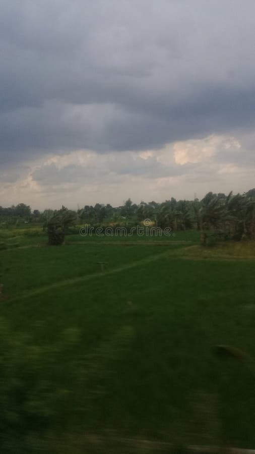 Cloudy, Evening Day, Trees, Tree, Nature, Sky with the Cloud, Hope a ...