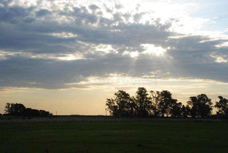 Cloudy Field with sun rays stock image. Image of sunny - 84233029
