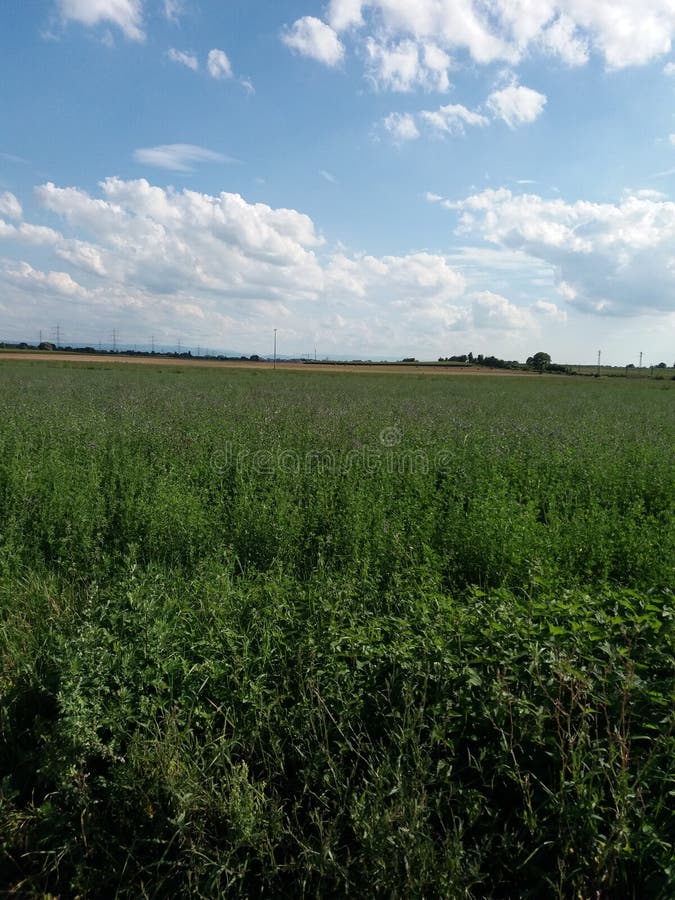 Cloudy field stock image. Image of himmel, field, sunny - 97971737