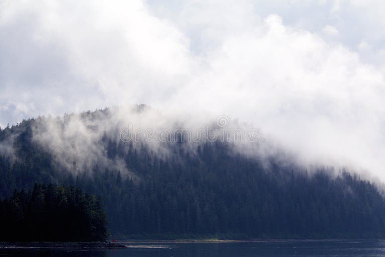 Cloudy Forest Peril Strait 842876 Stock Photo - Image of scenery ...
