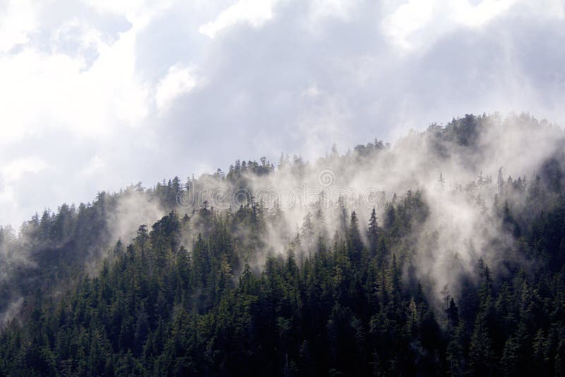 Cloudy Forest Peril Strait 842878 Stock Photo - Image of peril, cloud ...