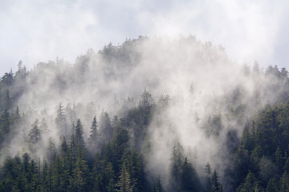 Cloudy Forest Peril Strait 842879 Stock Image - Image of evergreens ...