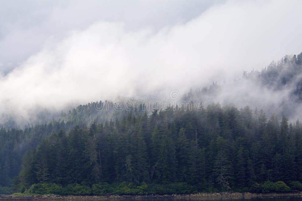 Cloudy Forest Peril Strait 846609 Stock Image - Image of alaska, cloudy ...