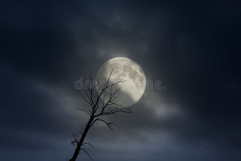 Cloudy full moon night stock image. Image of cloudscape - 258269903