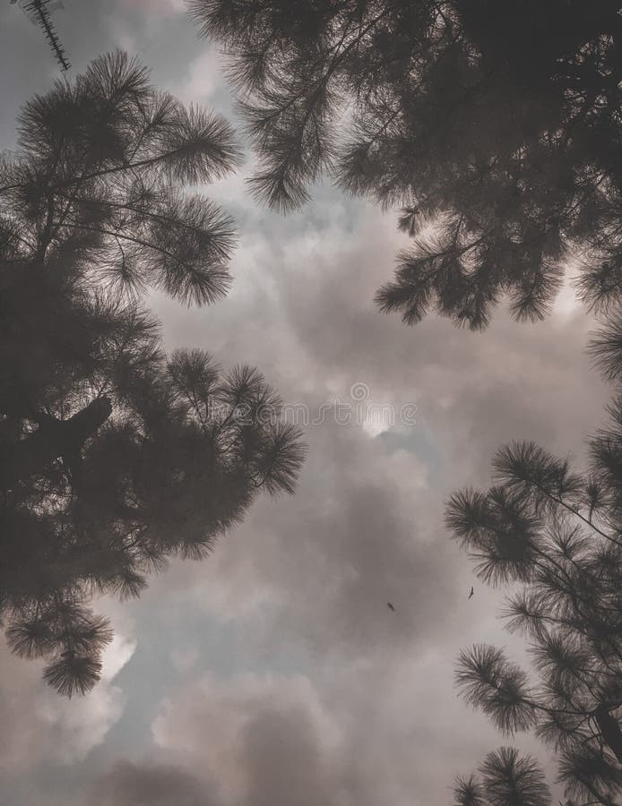 Cloudy stock photo. Image of home, indoor, room, cloudy - 224624866