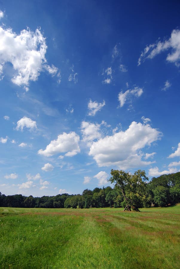 Cloudy landscape stock photo. Image of countryside, scenery - 2798390