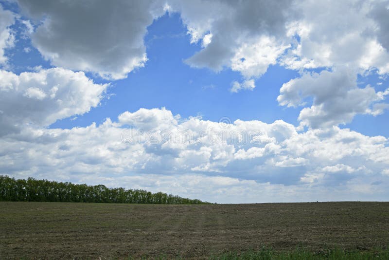 Cloudy landscape stock photo. Image of vertically, shores - 94814136