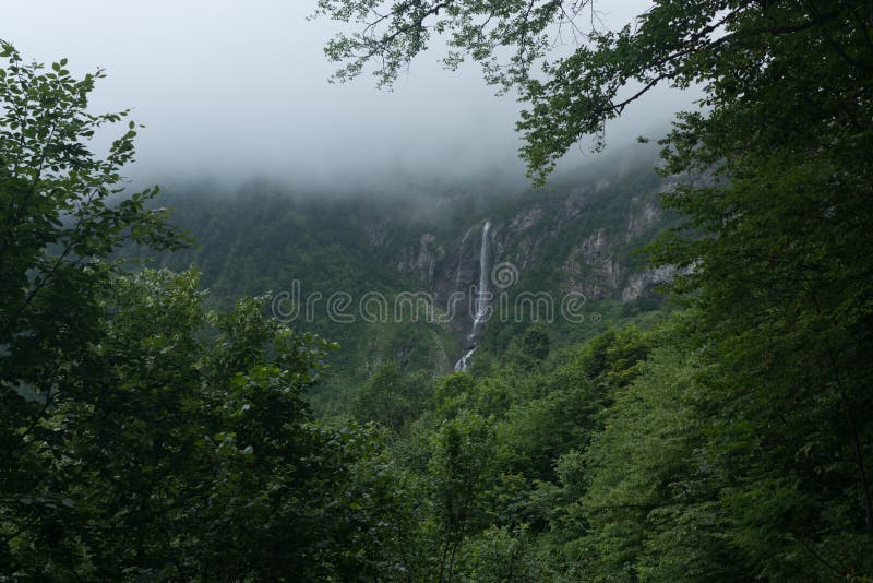 Cloudy Landscape with Forest Nature Background Stock Image - Image of ...
