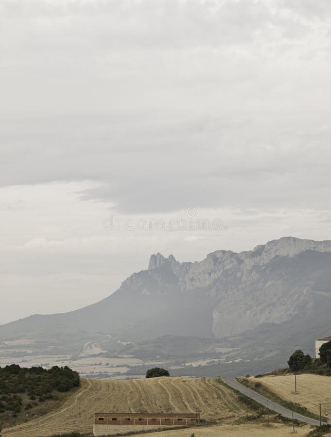 Cloudy landscape trees stock photo. Image of clean, forest - 80614476