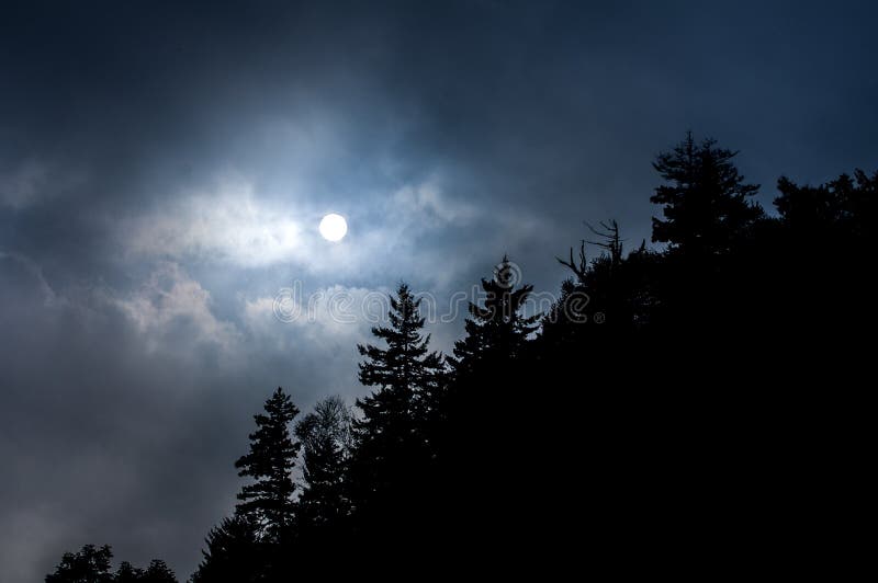 Cloudy Moonlit Night Over Spruce Forest Stock Image - Image of light ...