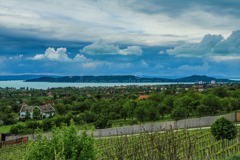 Landscape from Csopak Lake Balaton Stock Photo - Image of terroir ...