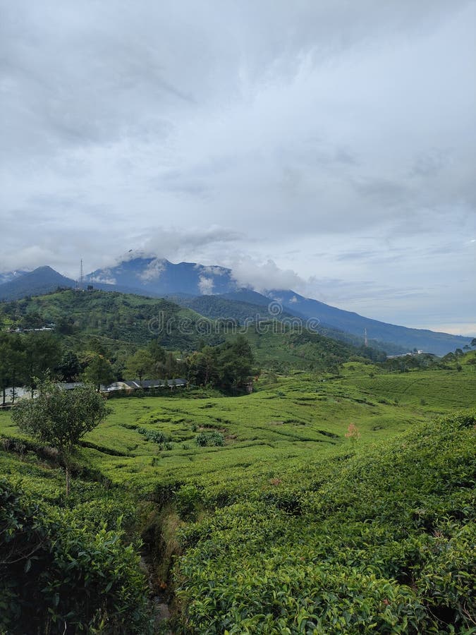 Cloudy mountain bogor view stock photo. Image of morning - 261900284