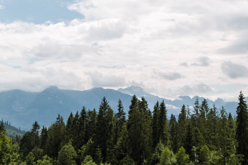 Cloudy Mountains Behind Tree Landscape Stock Image - Image of area ...