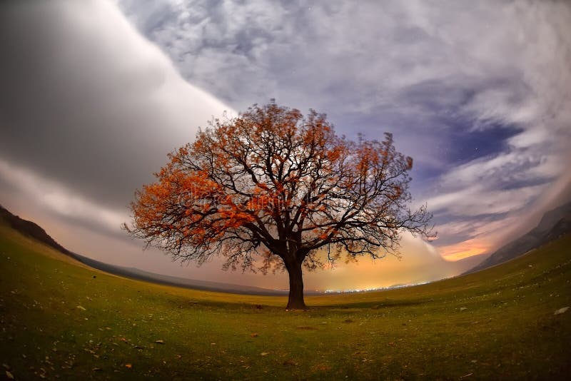 Cloudy Night on Field in Spring Stock Image - Image of dobrogea ...