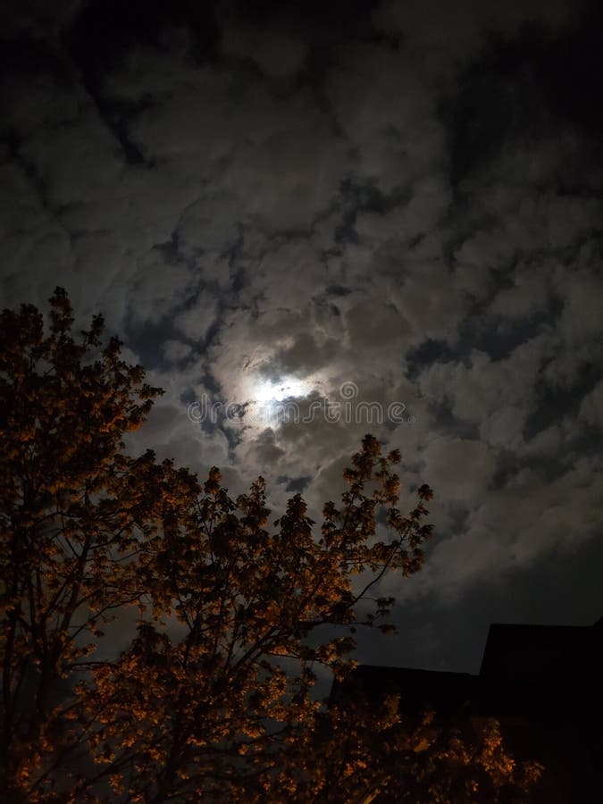 Cloudy Night Sky stock image. Image of moonlight, cloudy - 147332233