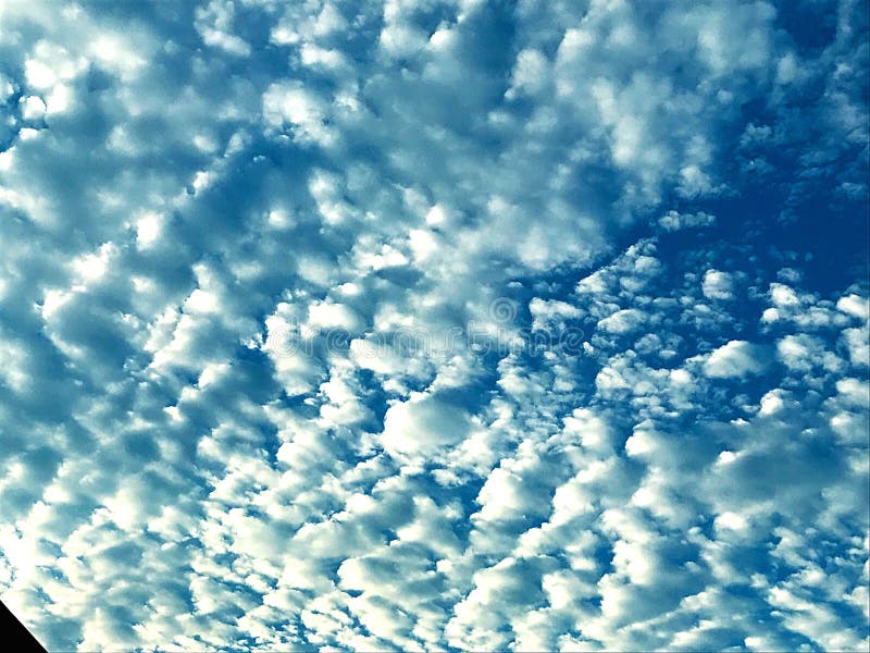 Blue sky stock image. Image of cloudy, cloud, phenomenon - 103348863