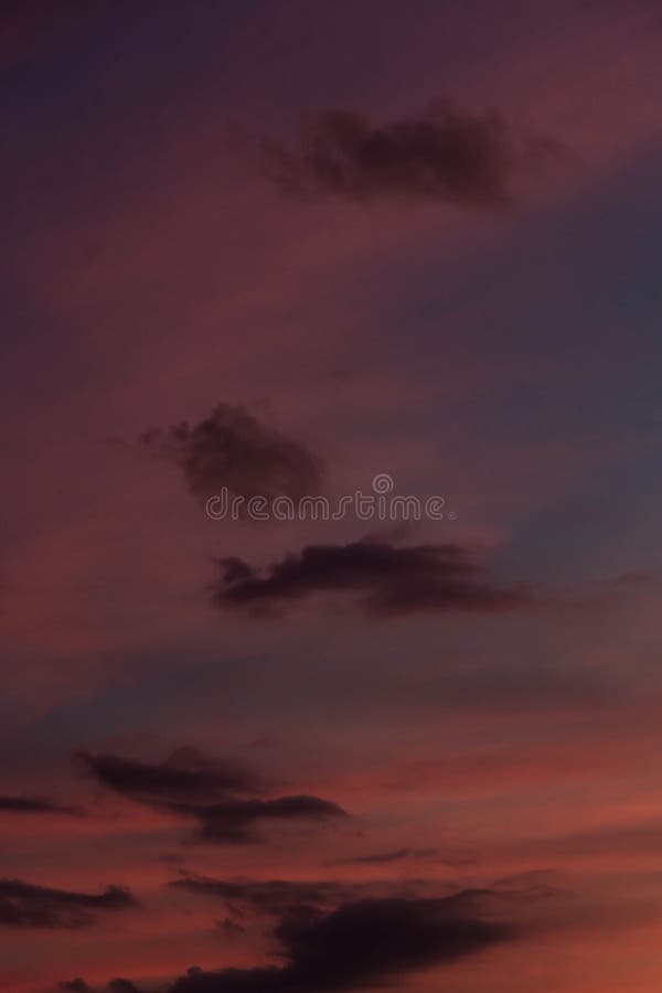 Cloudy Pink-purple Sunset. Evening View. Summer Background Stock Image ...