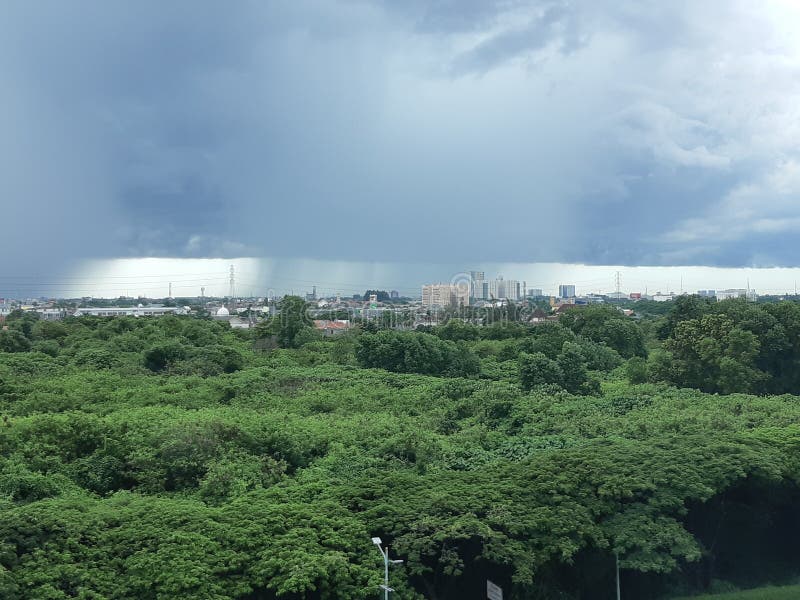 Cloudy Rain Cloud Forest View Tree Sky Stock Photo - Image of cloudy ...