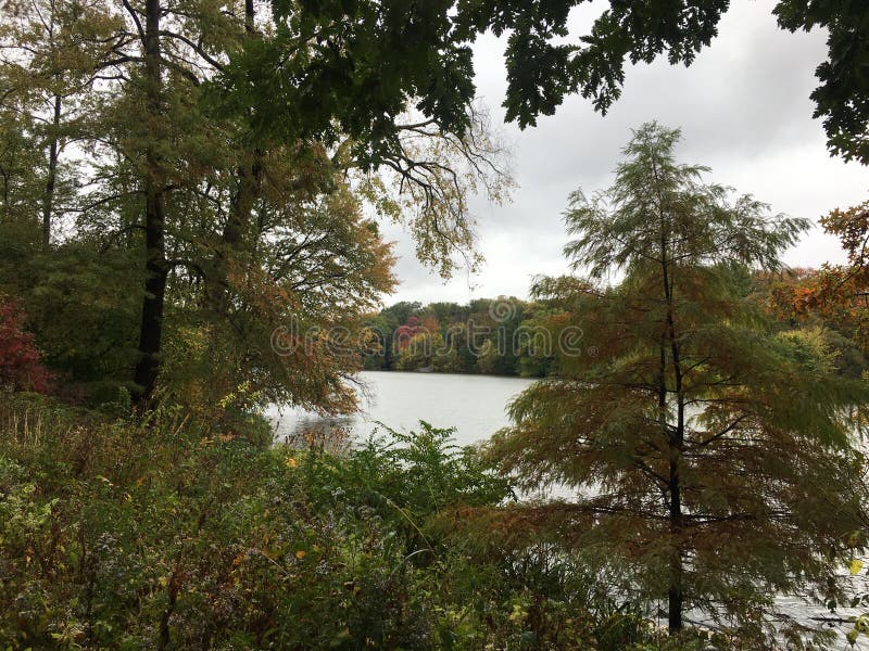 Cloudy and Rainy Day in October at Central Park in Manhattan, New York ...