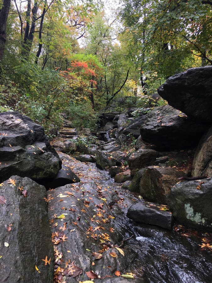 Cloudy, Rainy, and Foggy Day at Central Park in October in Manhattan ...