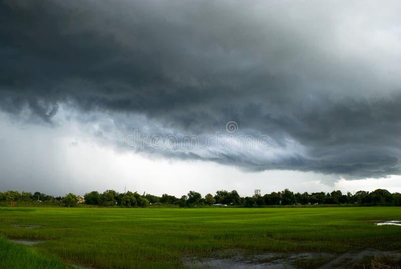 Cloudy rice field stock image. Image of growth, green - 26903887