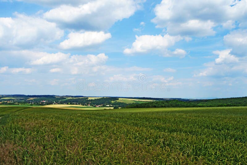 Above the Field with Lush Green Grass Summer, Spring Bright Blue High ...