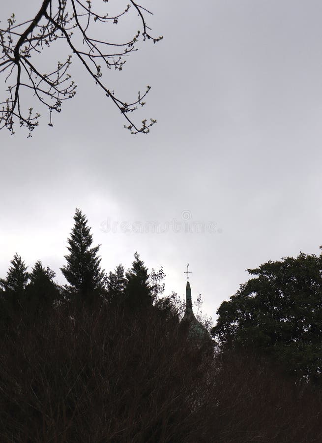 Overhanging Tree Branch Silhouette Stock Photos - Free & Royalty-Free ...
