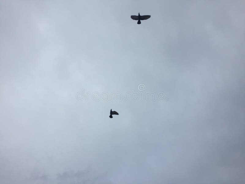 Cloudy Sky on a Bad Weather Day without Sun in the Sky Stock Photo ...