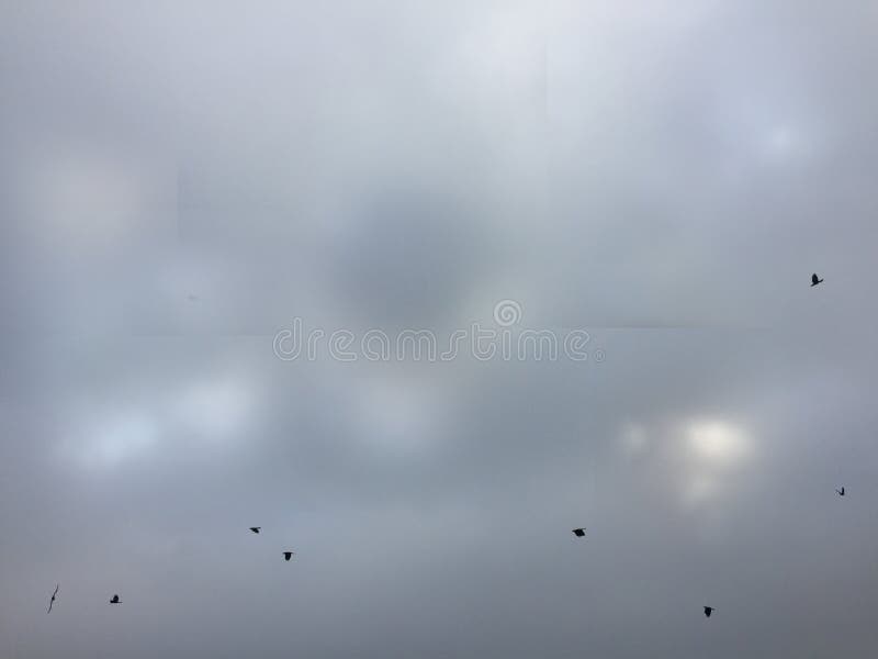 Cloudy Sky on a Bad Weather Day without Sun in the Sky with Birds Stock ...
