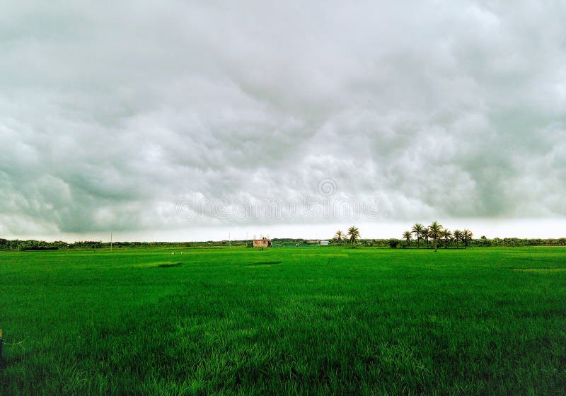Cloudy sky in the field stock image. Image of cloud - 244318331