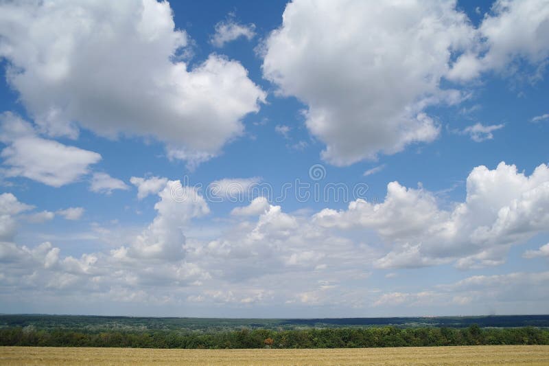 Cloudy Sky and Golden Field Stock Image - Image of golden, agriculture ...