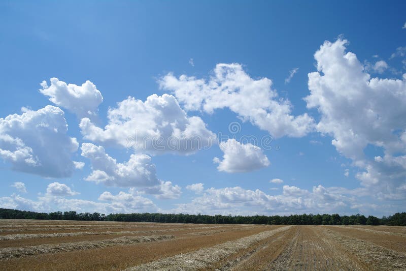 Cloudy Sky and Golden Field Stock Image - Image of bales, ideas: 84640461