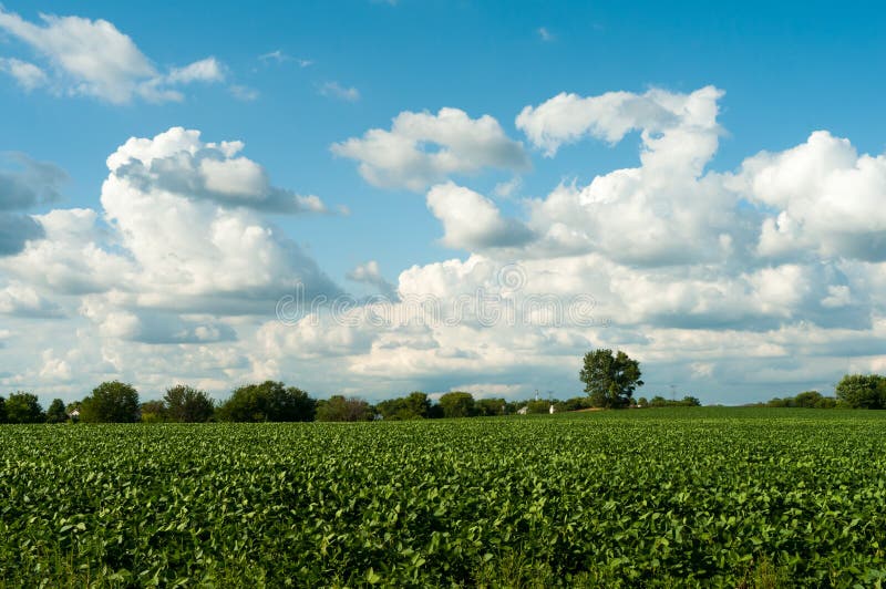 The Cloudy Sky Over the Farm Land Stock Image - Image of agricultural ...