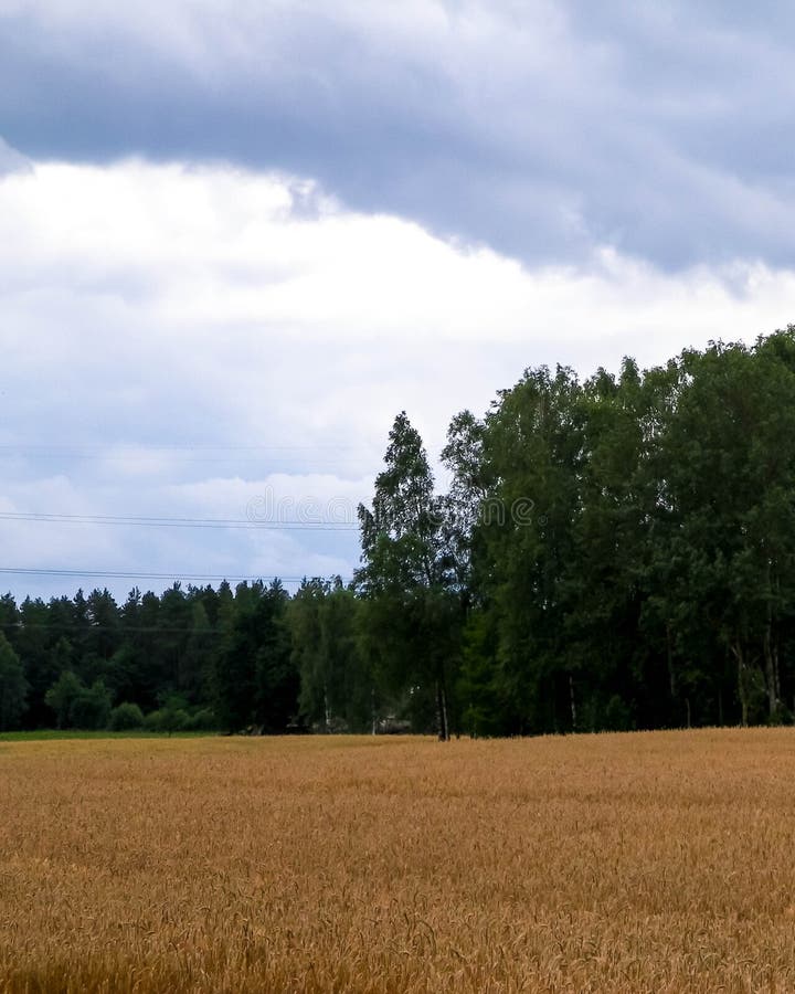 Cloudy Sky Over Field in Kashubia Stock Image - Image of area, meadow ...