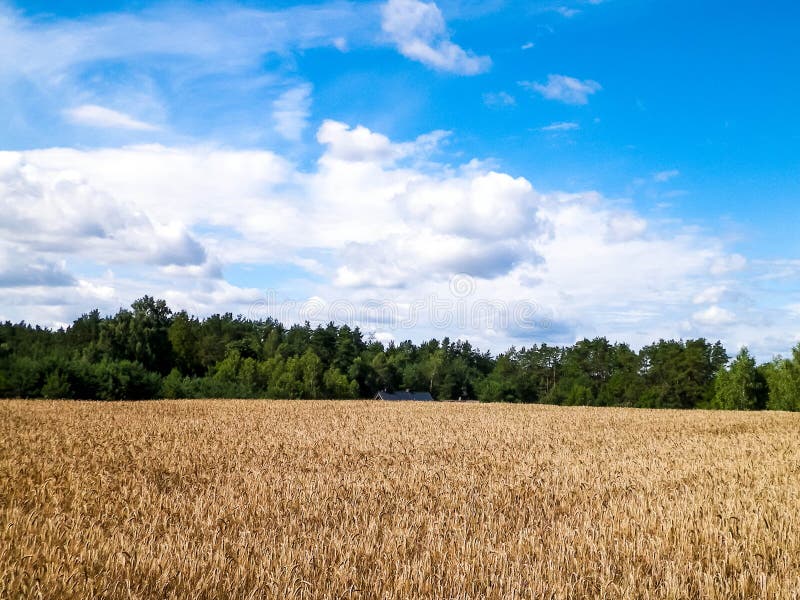 Cloudy Sky Over Field in Kashubia Stock Photo - Image of late, sunlight ...