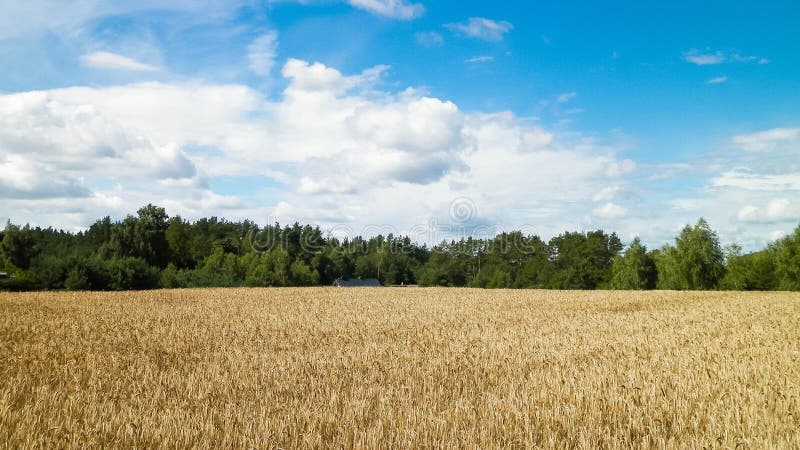 Cloudy Sky Over Field in Kashubia Stock Photo - Image of agriculture ...