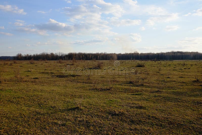 Cloudy Sky Over a Field. a Small Forest in the Distance Stock Photo ...