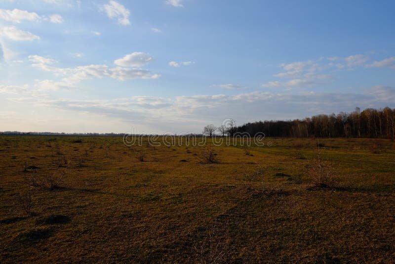 Cloudy Sky Over a Field. a Small Forest in the Distance Stock Photo ...