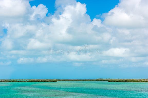 Cloudy Sky Over Florida Keys Stock Image - Image of palm, summer: 375403035