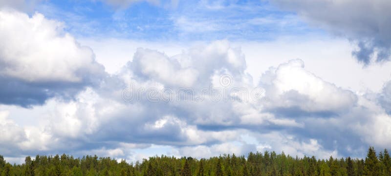 Cloudy sky over the forest stock photo. Image of colorful - 25200652