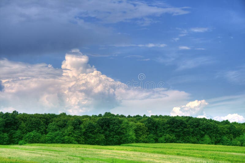 Cloudy sky over the forest stock image. Image of fluttering - 3009325