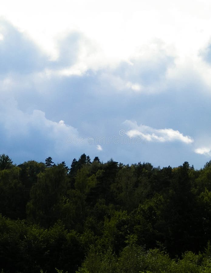 Cloudy sky over the forest stock photo. Image of climate - 326321878