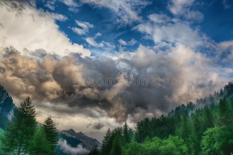 Cloudy sky over the forest stock photo. Image of weather - 71002856
