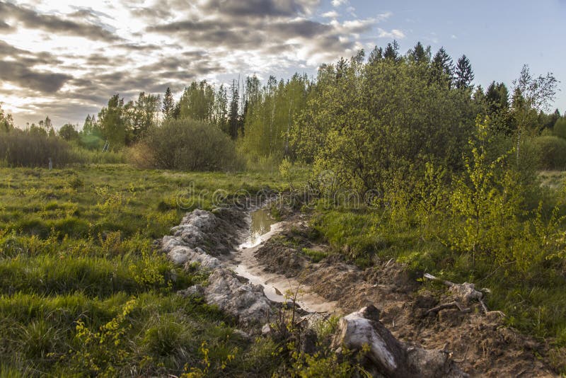 Wet Mud Puddle in a Field after a Rain Stock Image - Image of natural ...