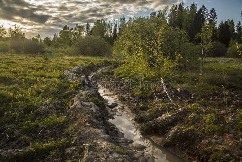 Cloudy Sky Over a Grass Field with a Muddy Puddle after a Heavy Rain ...