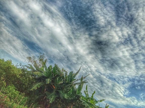 Cloudy Sky after the Rain Stopped Stock Photo - Image of stopped ...