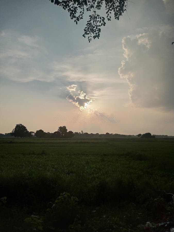 391 Seen Like Human Stock Photos - Free & Royalty-Free Stock Photos ...