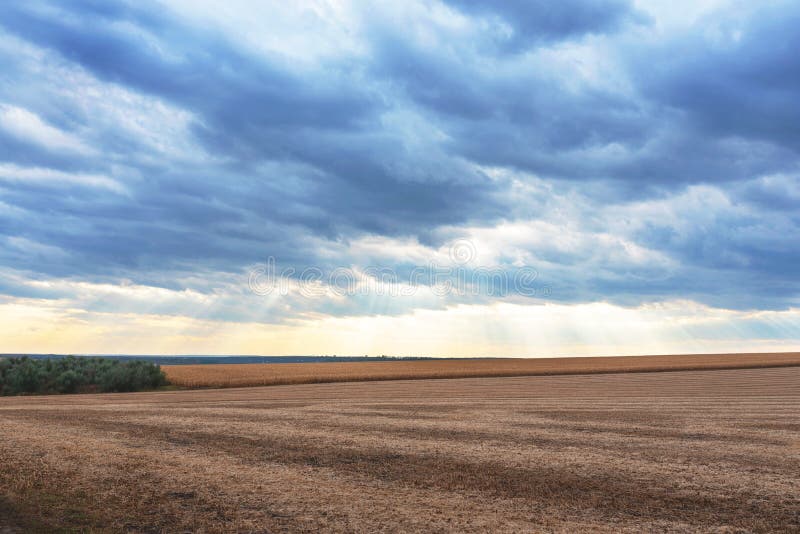 Cloudy Sky with Sun Rays Over Autumn Field Stock Photo - Image of field ...