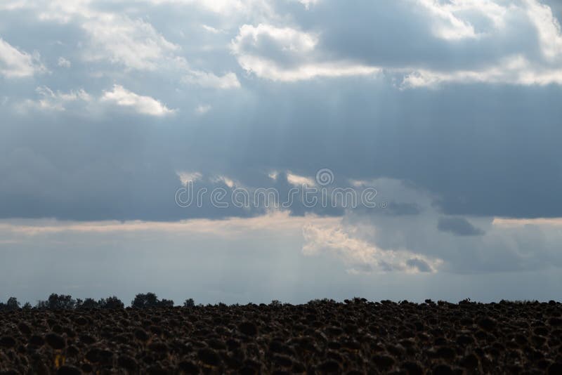 Cloudy Sky at Sunset in Cloudy Weather with Small Rays of the Sun Stock ...