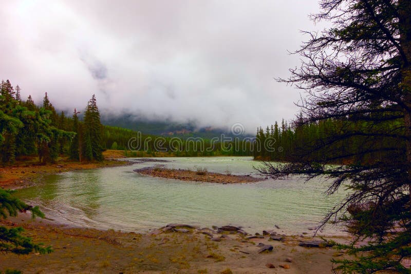 Cloudy Spring Day In Alberta Stock Image - Image of wood, cloudiness ...